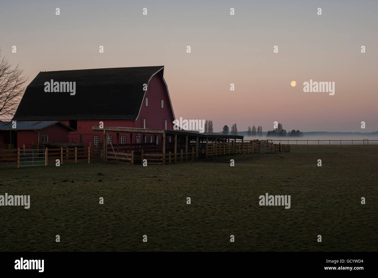 Sunrise with moon setting over field with red barn and fence and horses ...