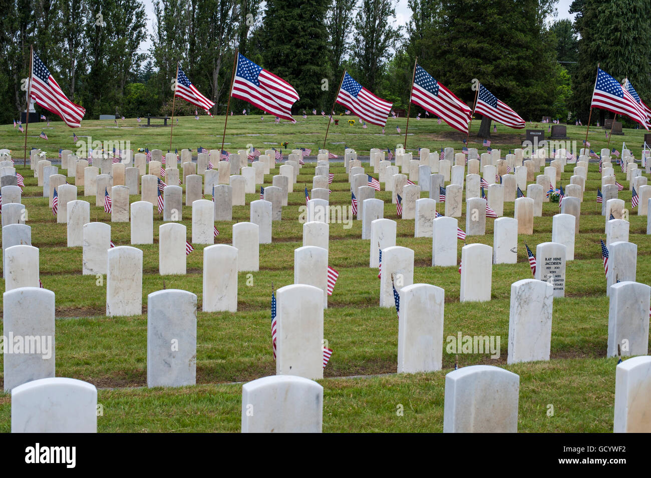 Memorial Day Ceremony at cemetery with American Flags at grave sites ...