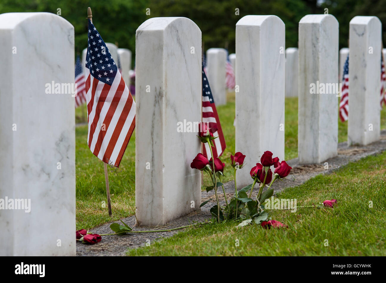 Memorial Day Ceremony at cemetery with American Flags at grave sites ...