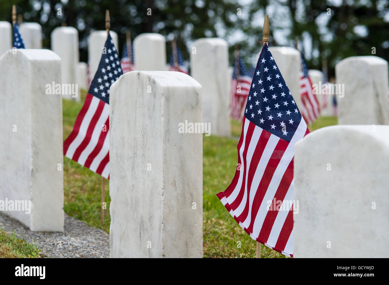 Memorial Day Ceremony at cemetery with American Flags at grave sites ...