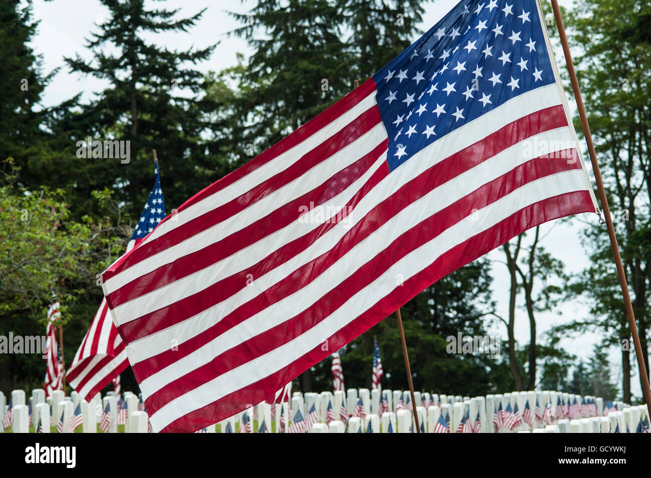 Memorial Day Ceremony at cemetery with American Flags at grave sites ...