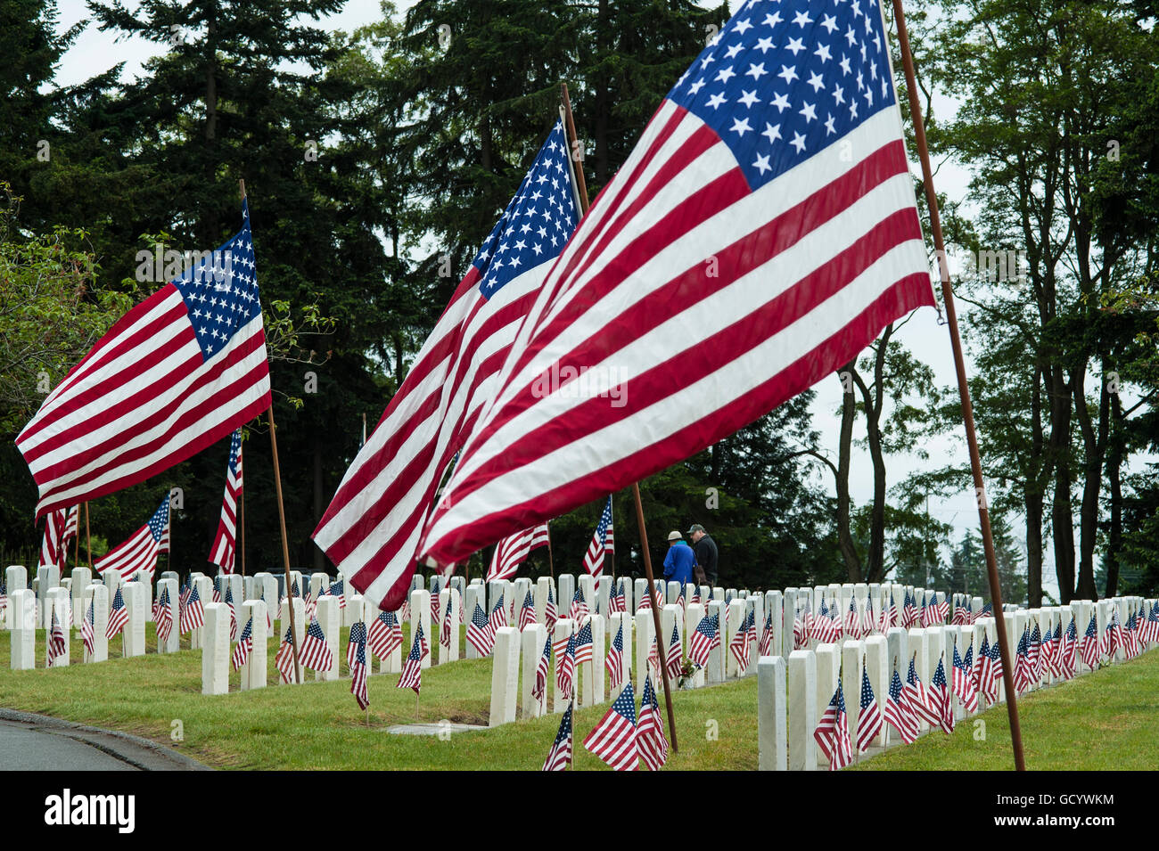 Memorial Day Ceremony at cemetery with American Flags at grave sites ...