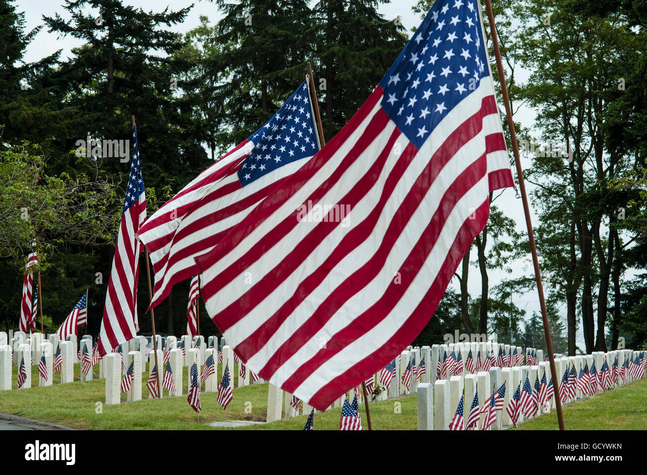 Memorial Day Ceremony at cemetery with American Flags at grave sites ...