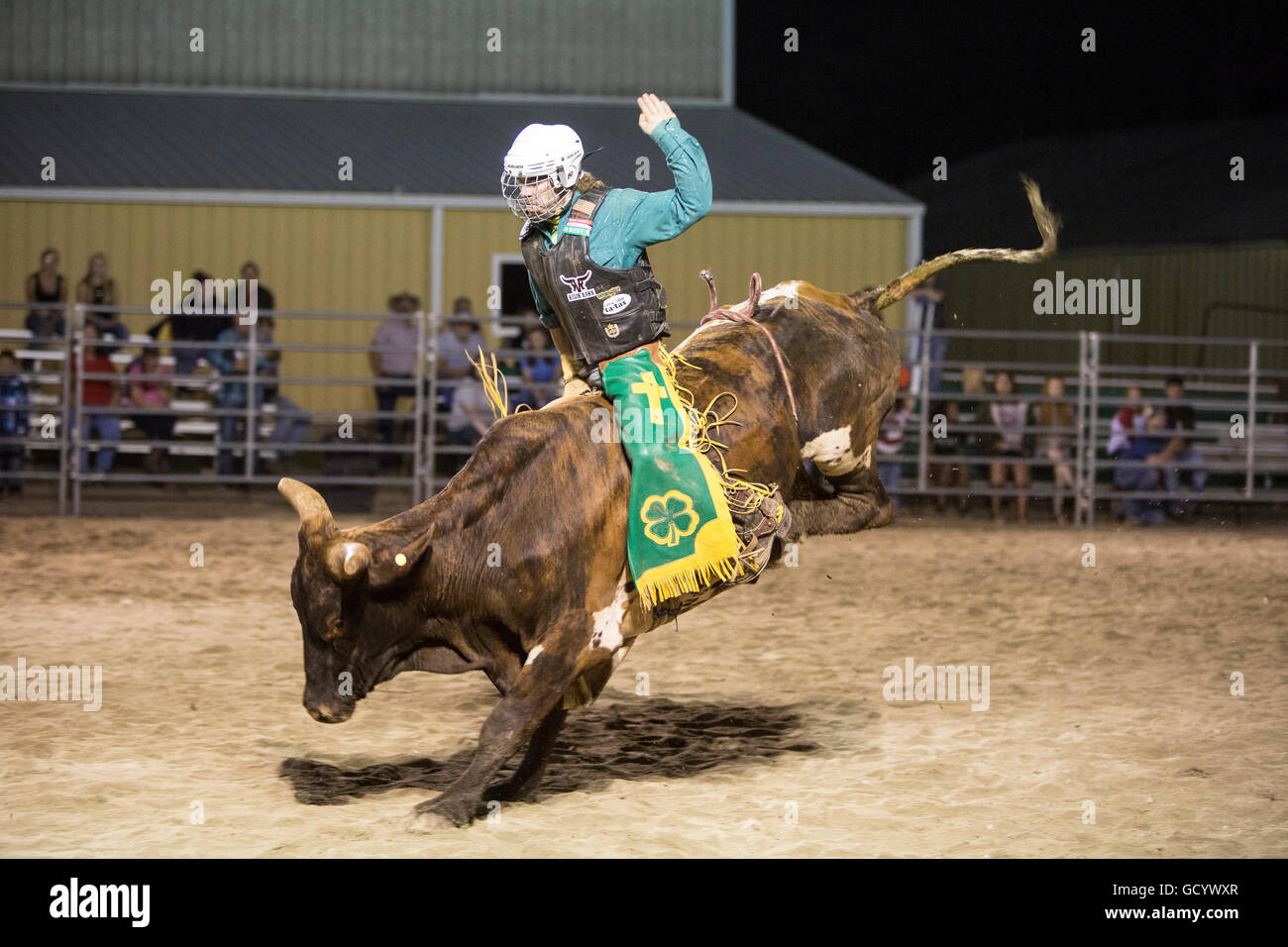 Cowboy riding a bull at a rodeo in the evening Stock Photo - Alamy