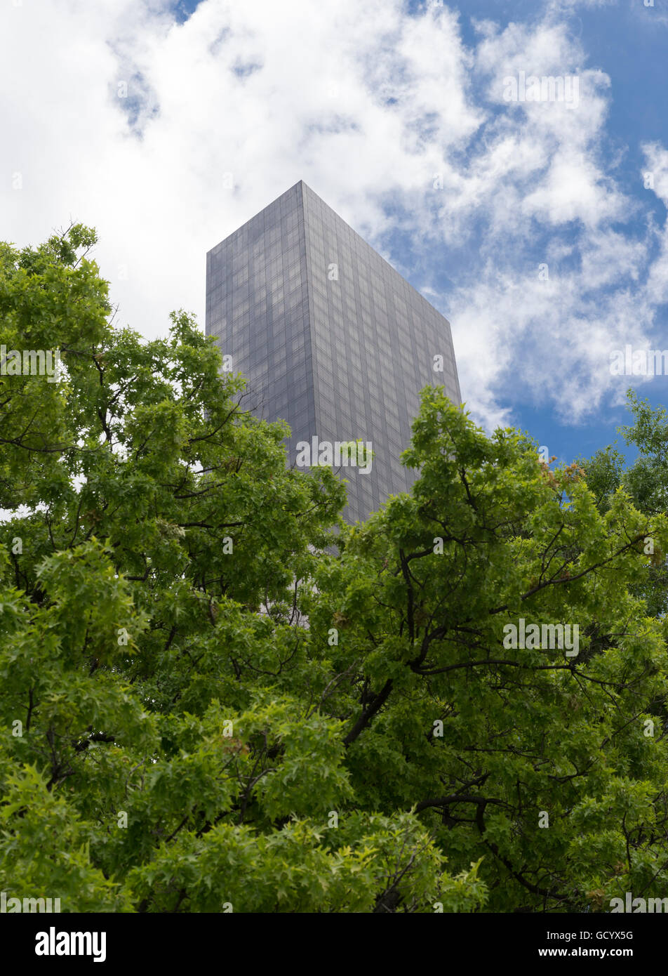 Skyscraper behind trees hi-res stock photography and images - Alamy