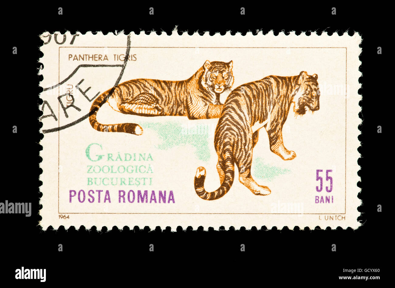 Postage stamp from Romania depicting a pair of tigers ((Panthera tigris ...