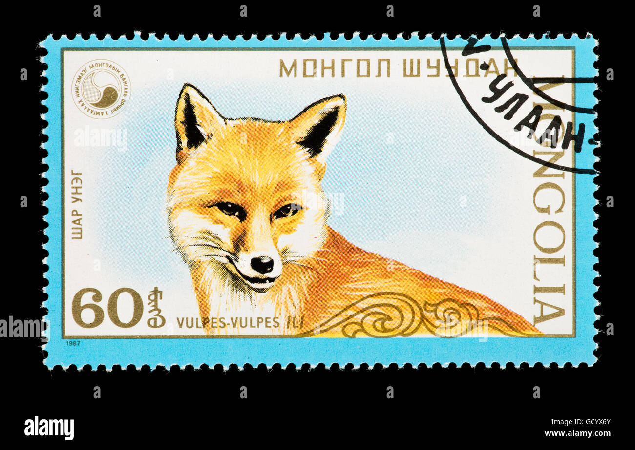 Postage stamp from Mongolia depicting a red fox (Vulpes Vulpes Stock ...