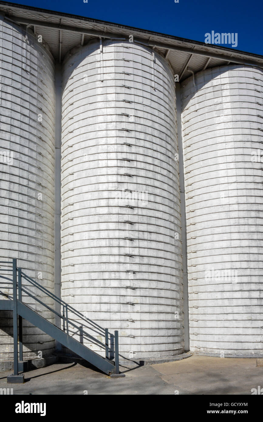 Tall, white, Majestic, abstract & textural structures of white grain ...