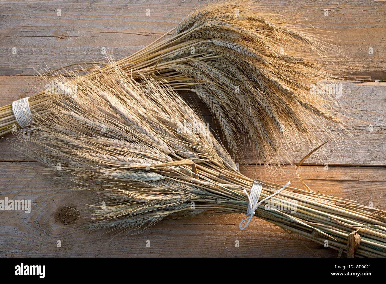 Sheaf Of Barley Hi res Stock Photography And Images Alamy sheaf-of-barley-hi-res-stock-photography-and-images-alamy