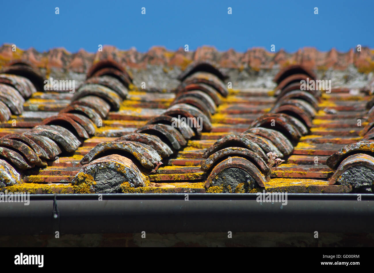 traditional roof tile with tiles and cement and plaster of historic ...