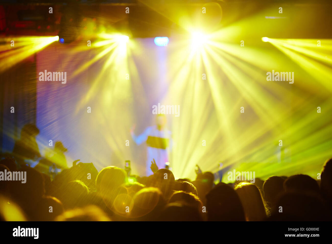 Crowd at concert Stock Photo - Alamy