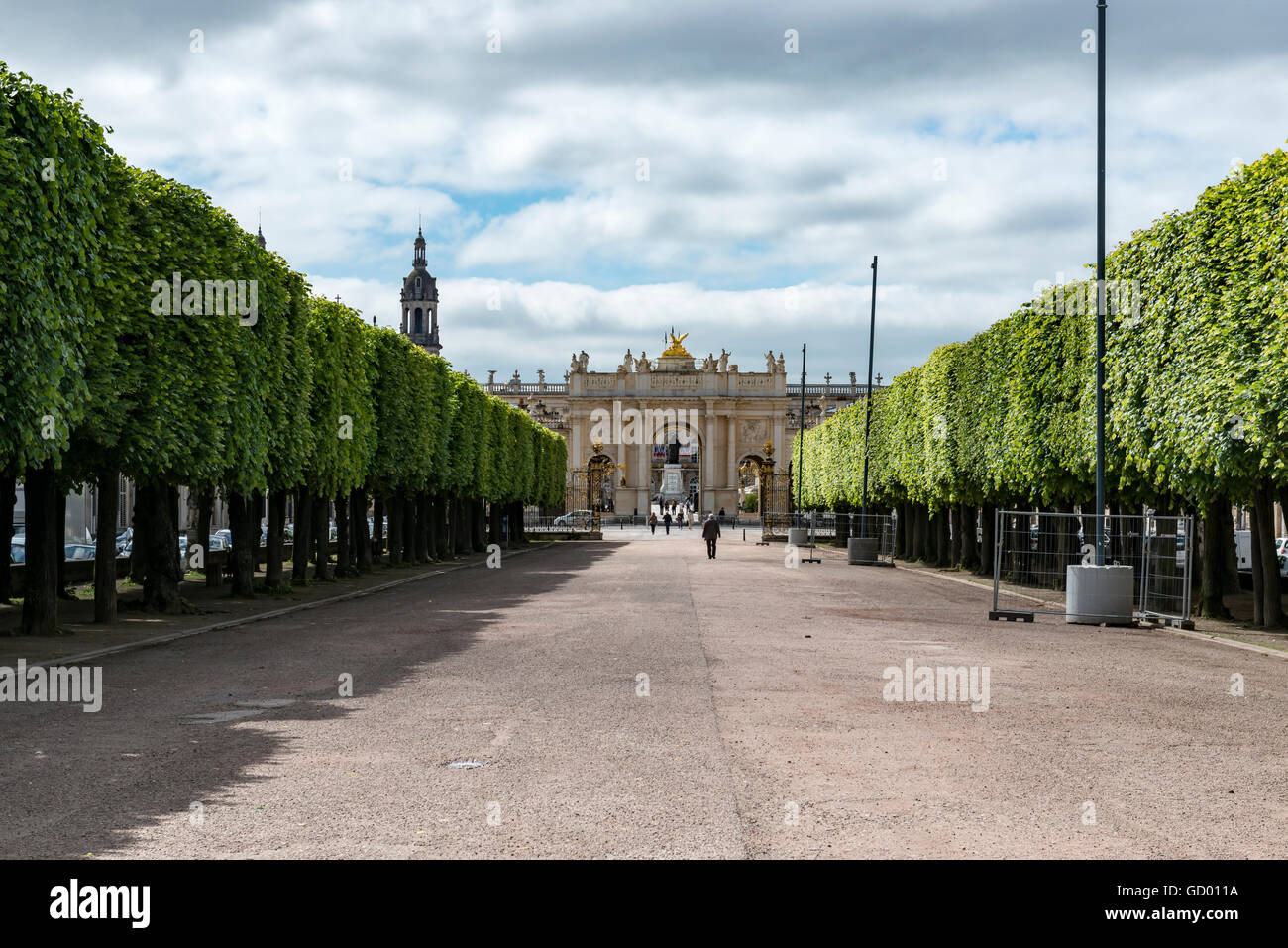 Place of many trees hi-res stock photography and images - Alamy