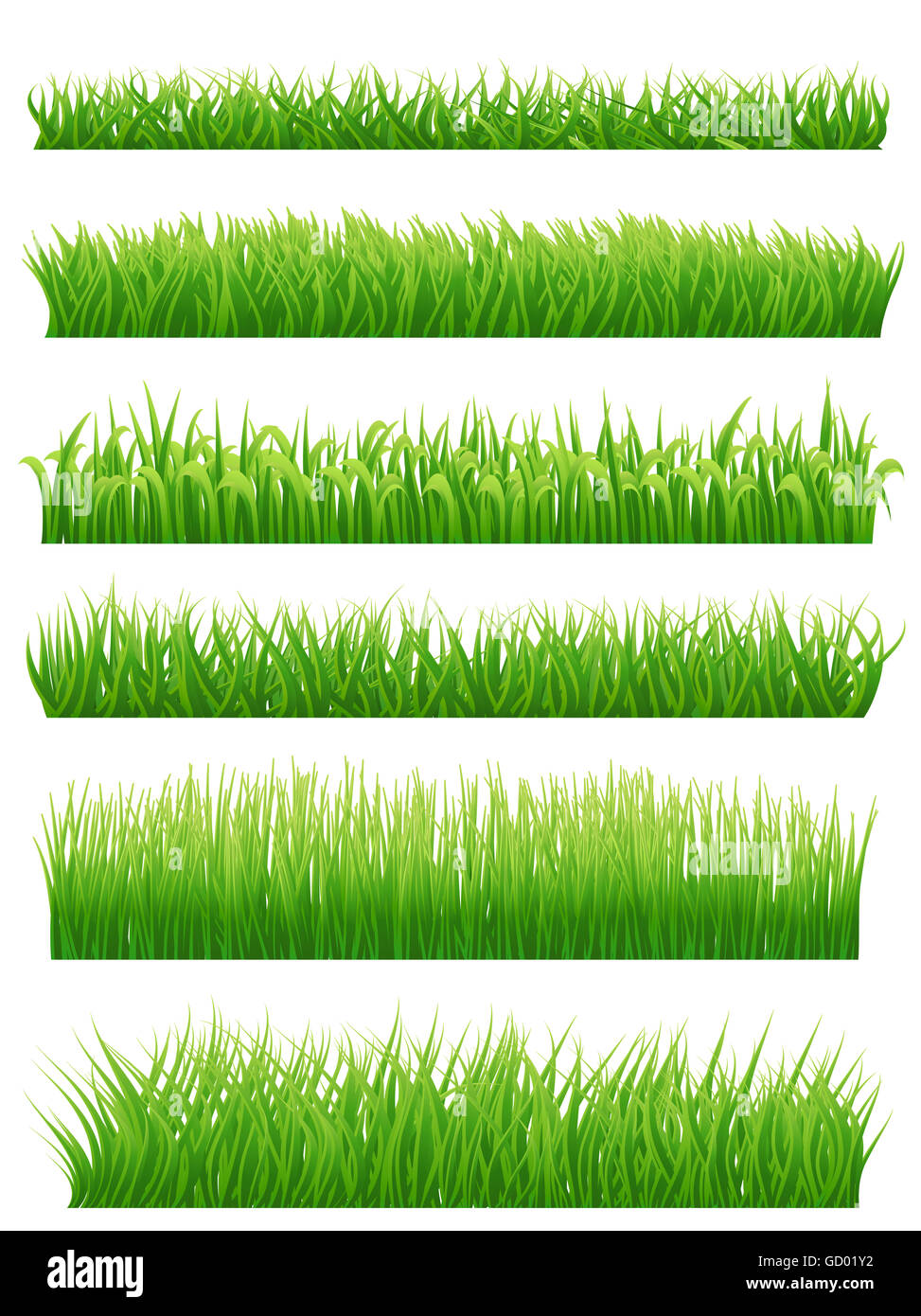 Green grass borders set on white. Vector illustration Stock Photo - Alamy