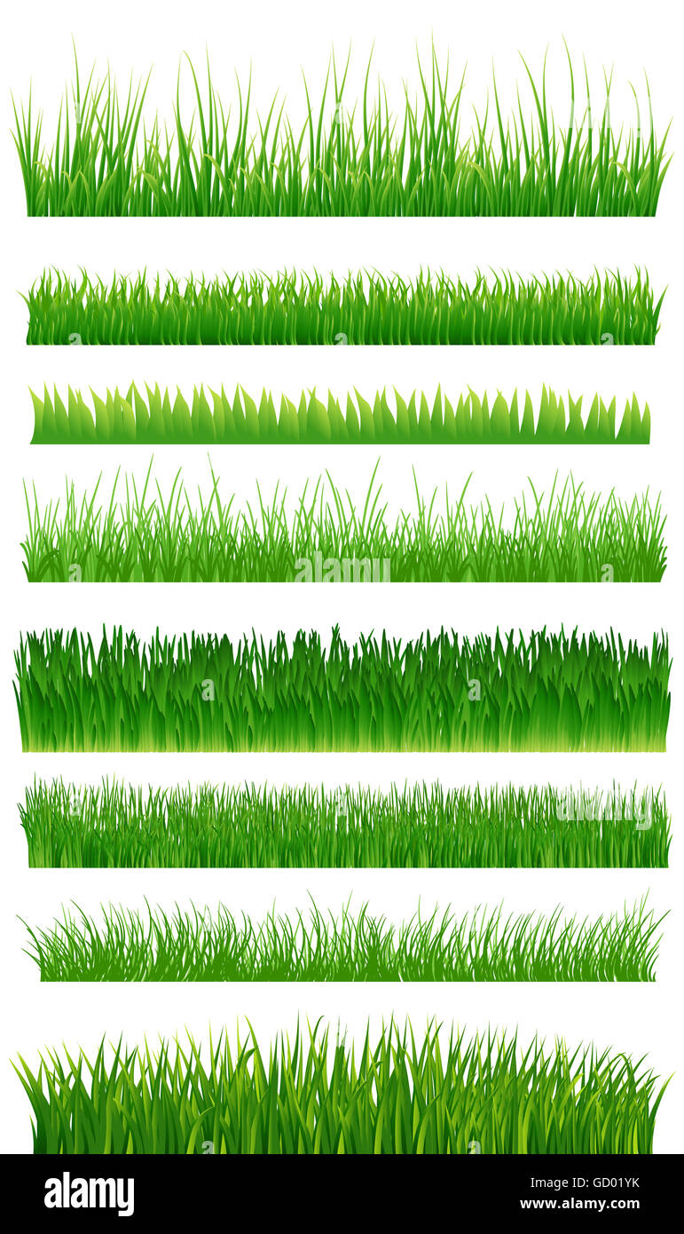 Green grass borders collection over white. illustration Stock Photo - Alamy