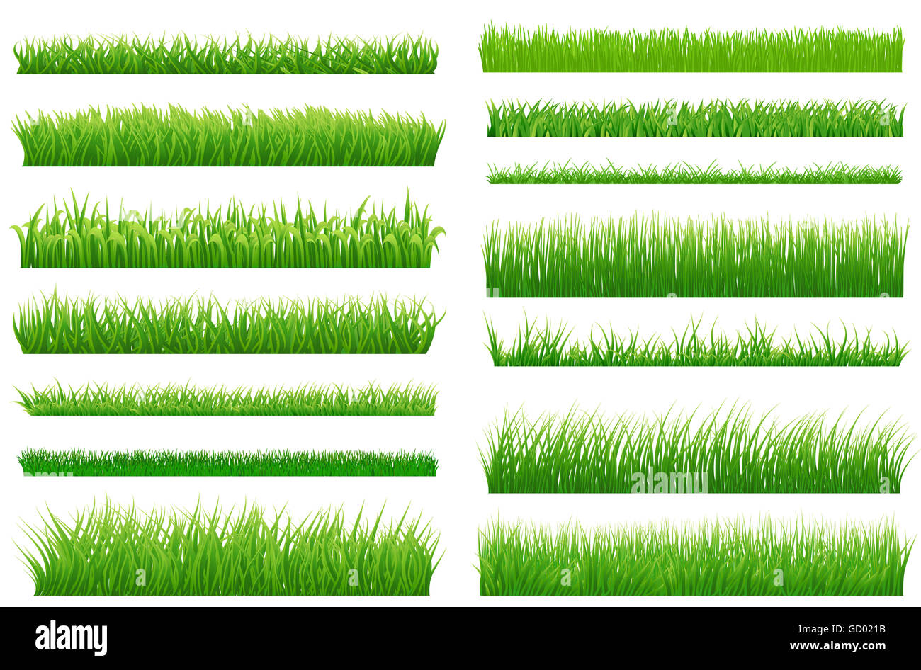 Set of spring green grass horizontal borders. Green grass collection on ...