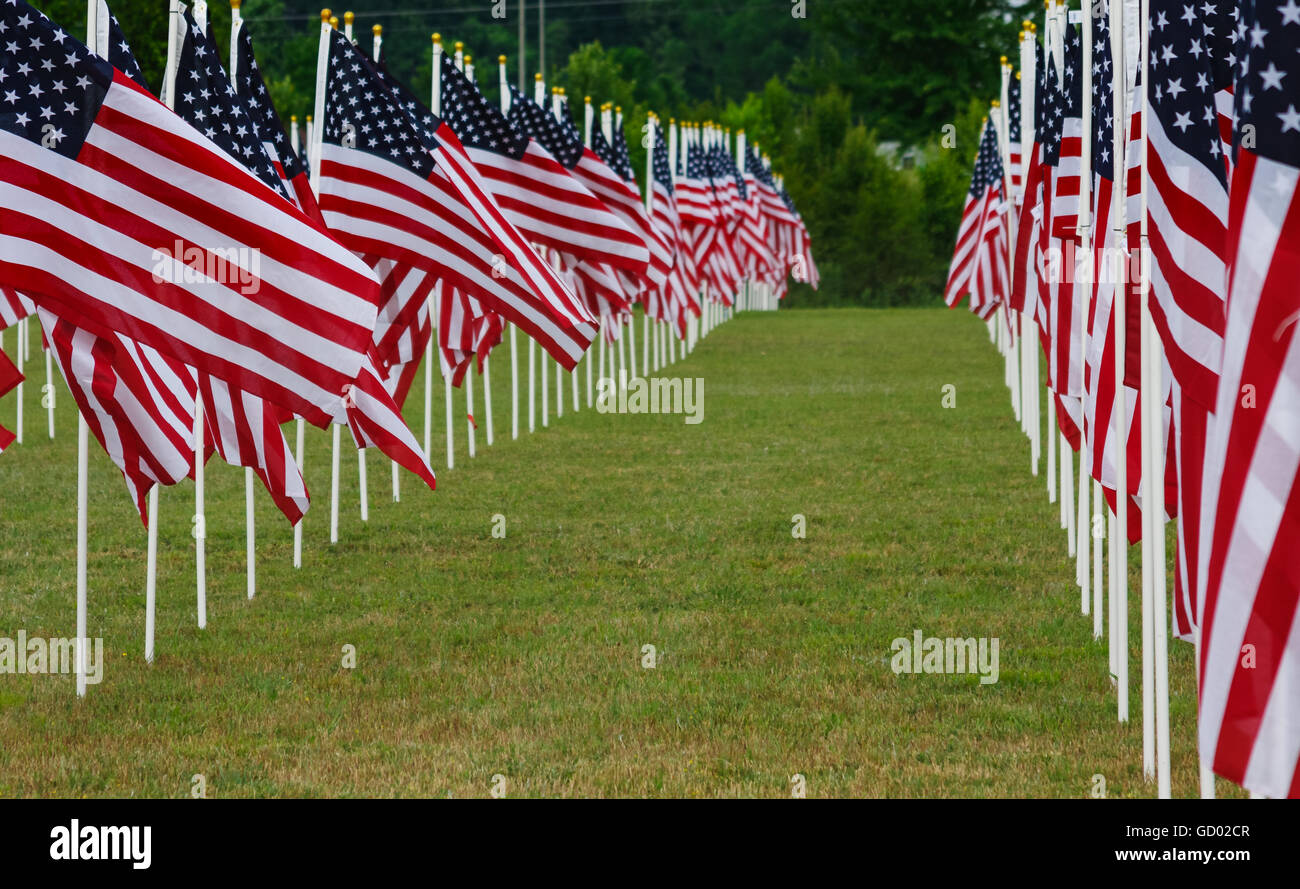 Memorial Day - Field of Flags Stock Photo - Alamy
