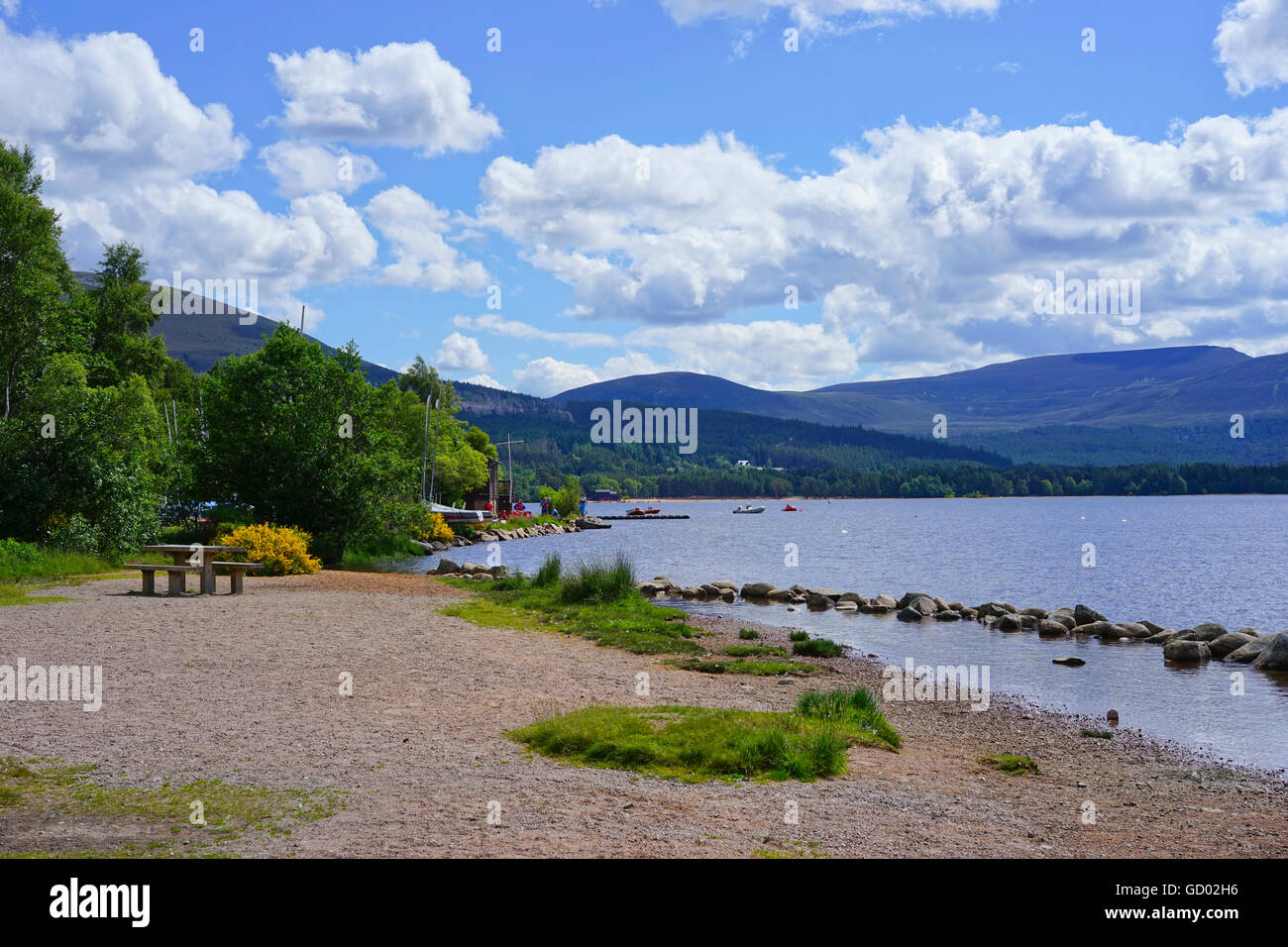 Morlic hi-res stock photography and images - Alamy
