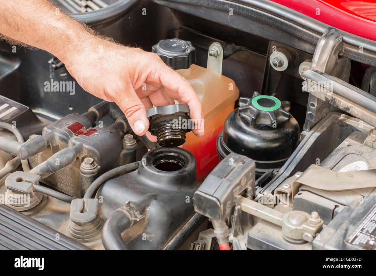 checking oil levels in service shop Stock Photo - Alamy