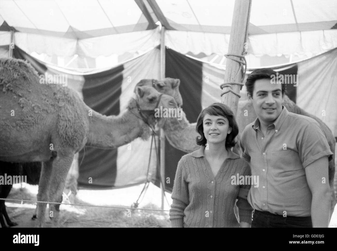 Anna maria alberghetti jerry Black and White Stock Photos & Images - Alamy