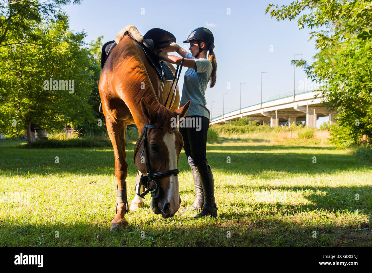 Girl riding a horse Stock Photo - Alamy