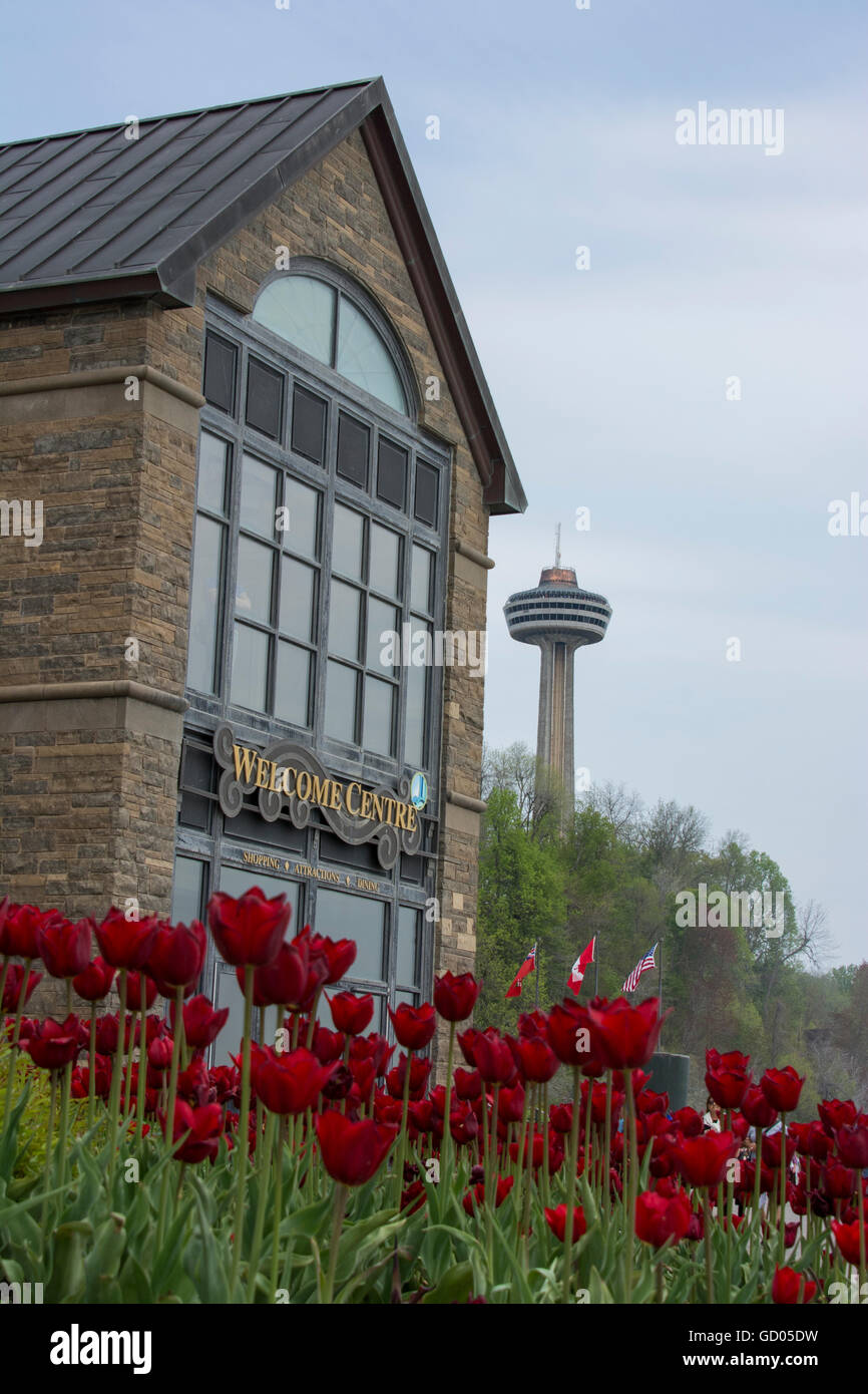 Canada, Ontario, Niagara Falls. Welcome Center with red tulips Stock ...