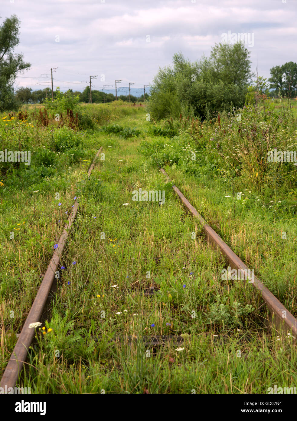 The old track hi-res stock photography and images - Alamy