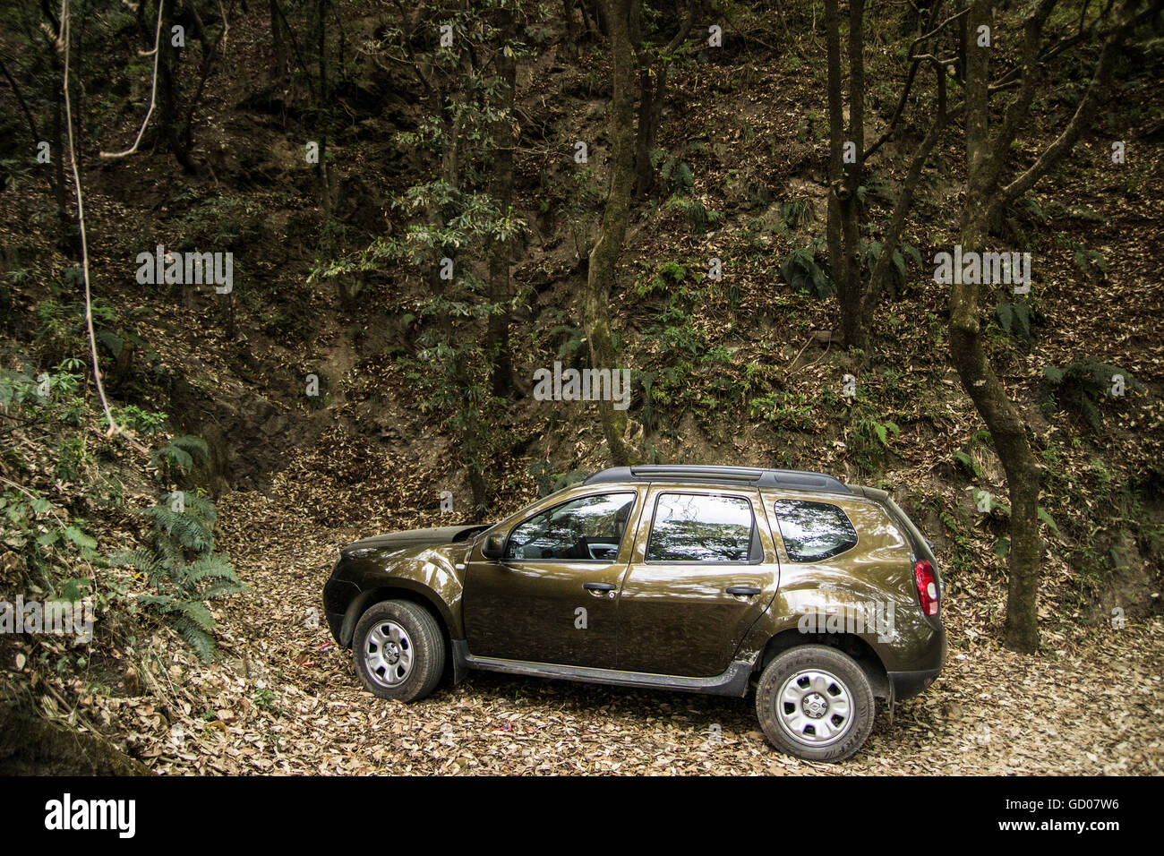 The road less traveled hi-res stock photography and images - Alamy