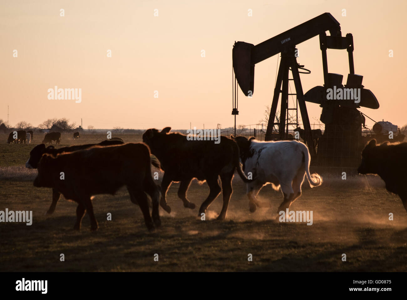 Oil field in silhouette hi-res stock photography and images - Alamy