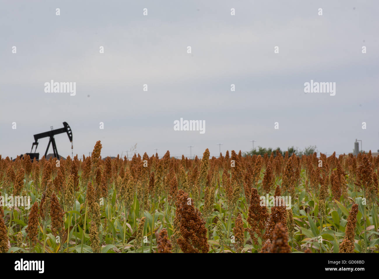Grain pump hi-res stock photography and images - Alamy