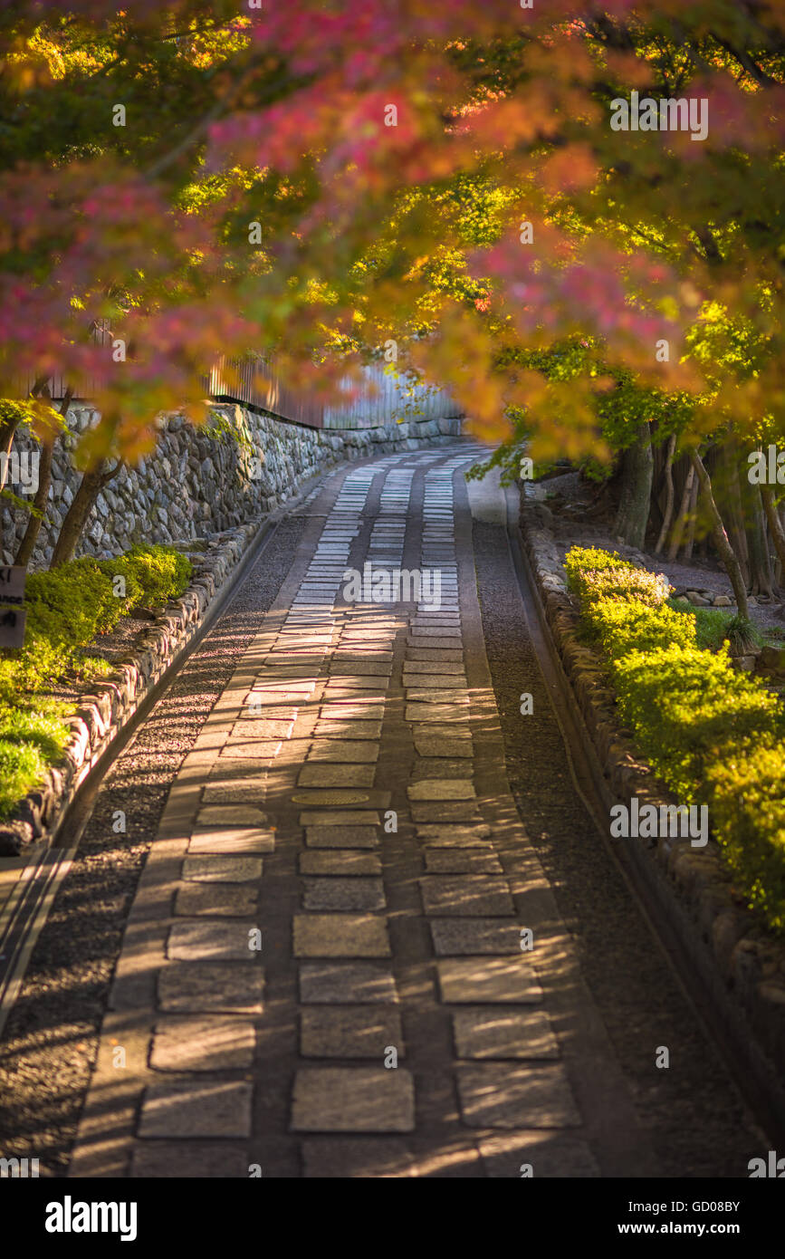 Very bright path hi-res stock photography and images - Alamy
