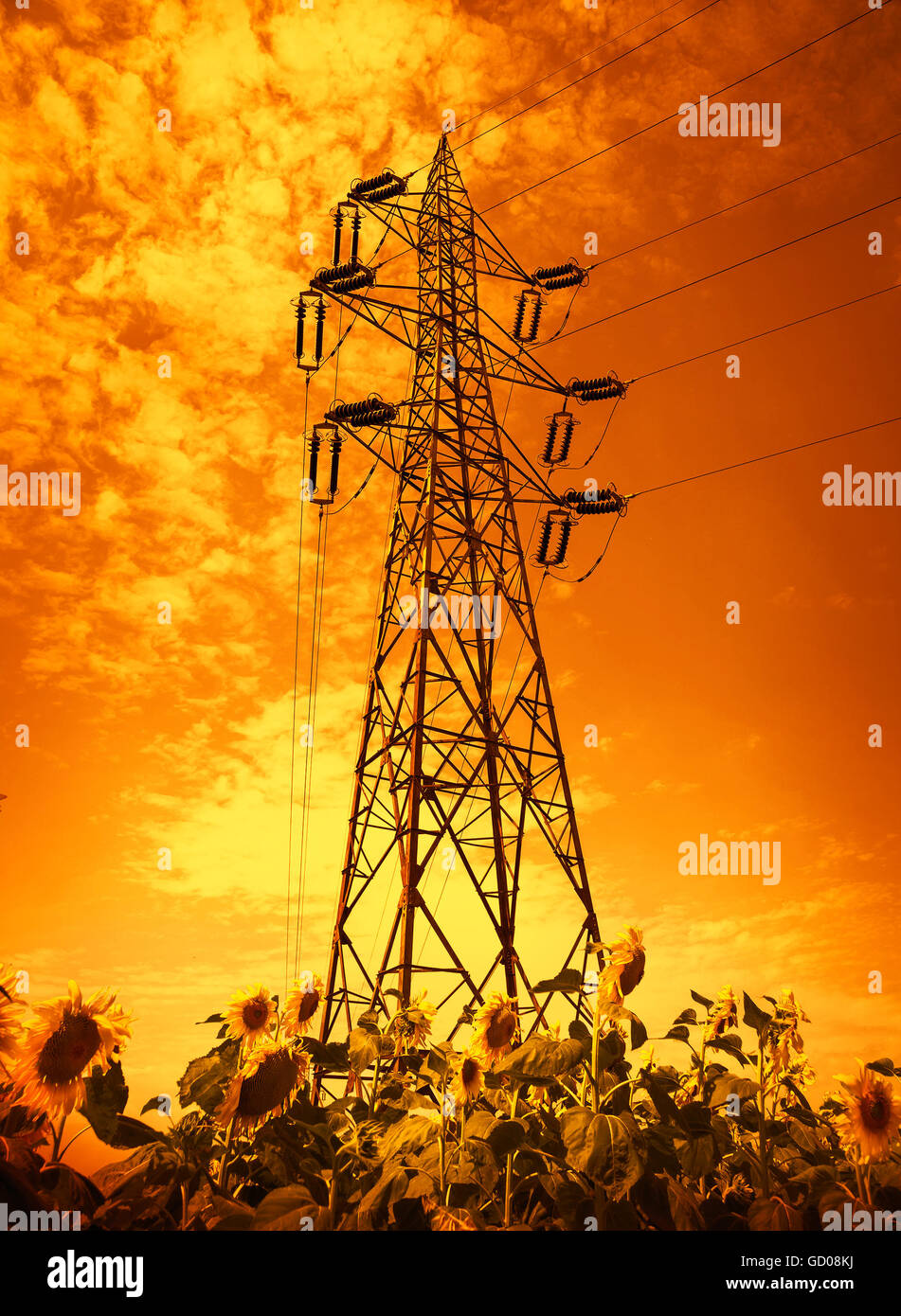 Power pole (electrical) .Creative image Stock Photo - Alamy