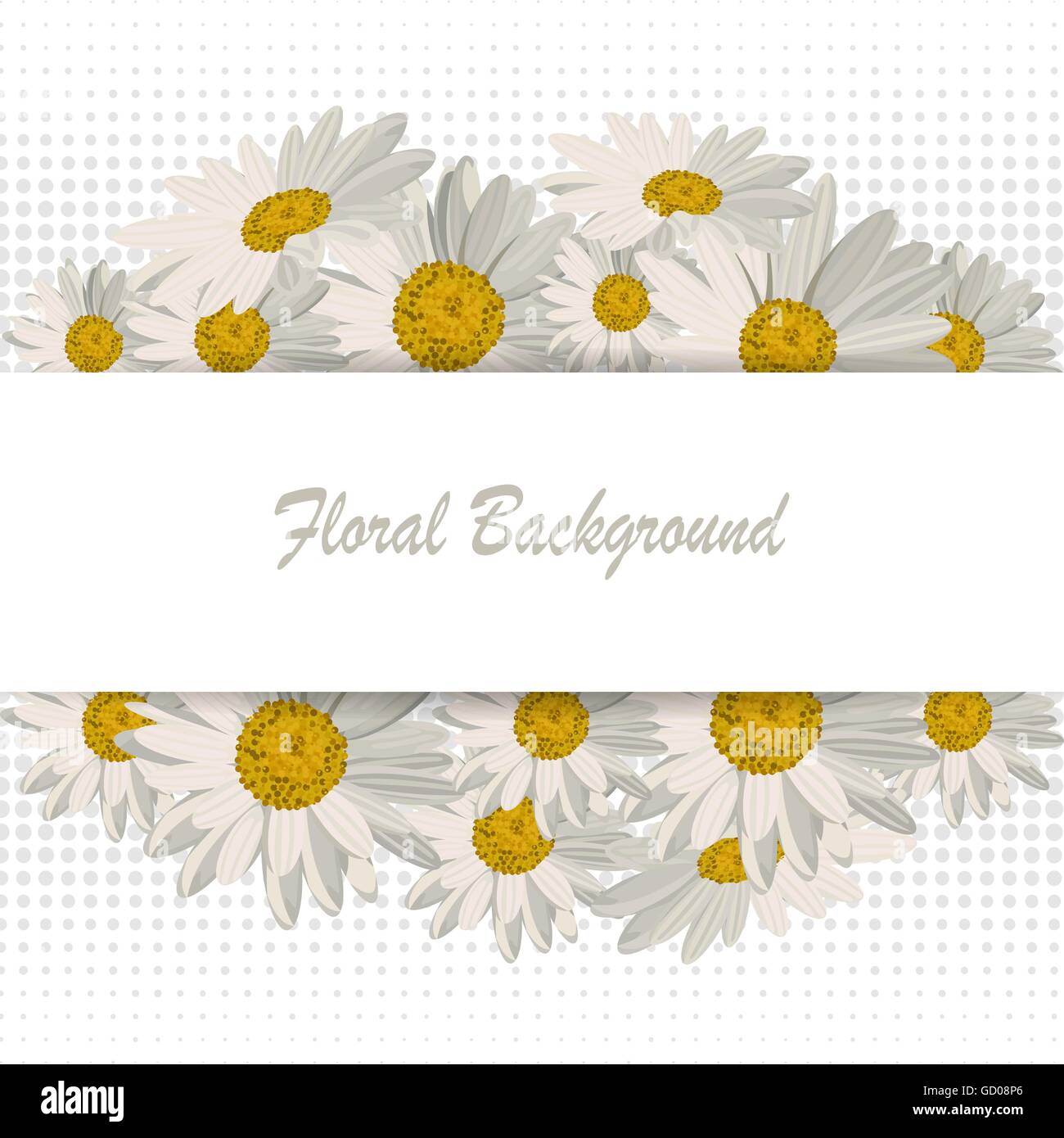 Beautiful white daisies Stock Vector Image & Art - Alamy
