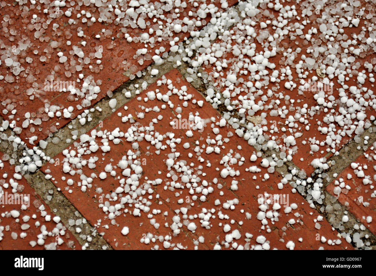 freshly fallen on the floor Stock Photo - Alamy