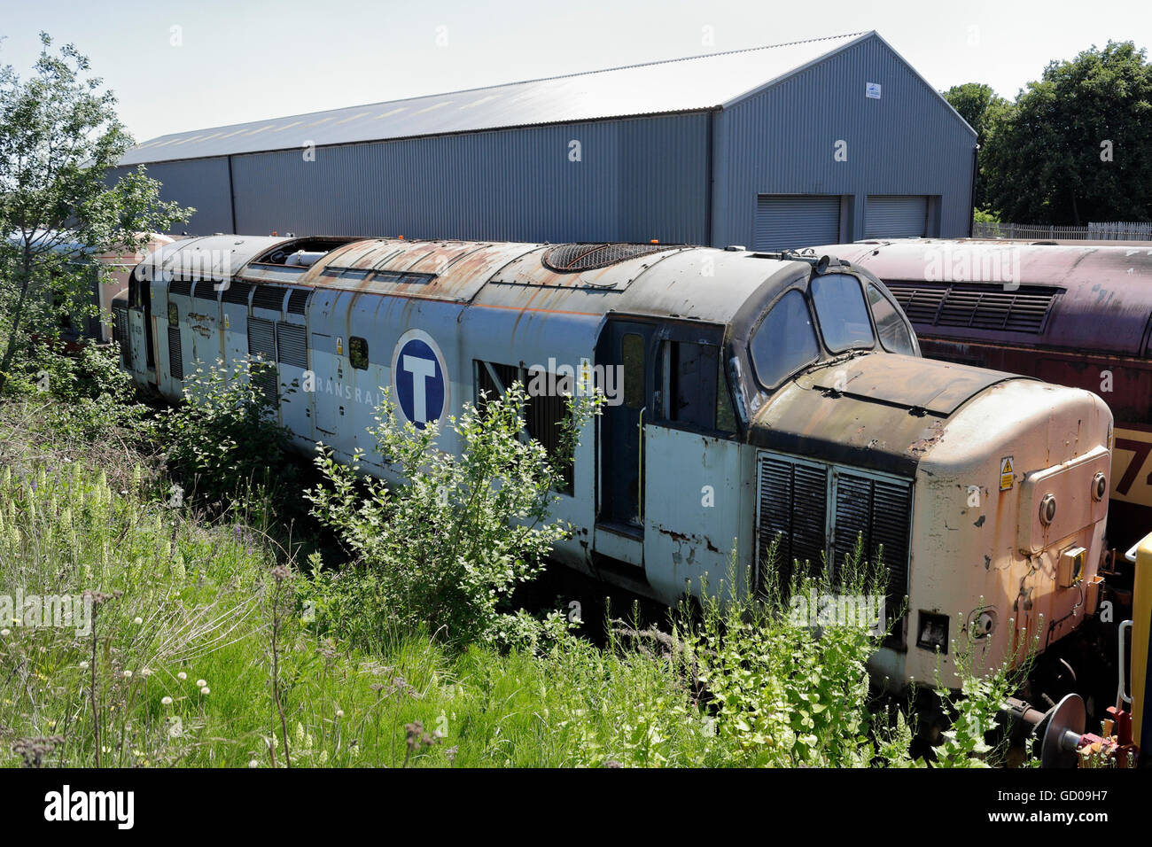 Class 37 loco hi-res stock photography and images - Alamy