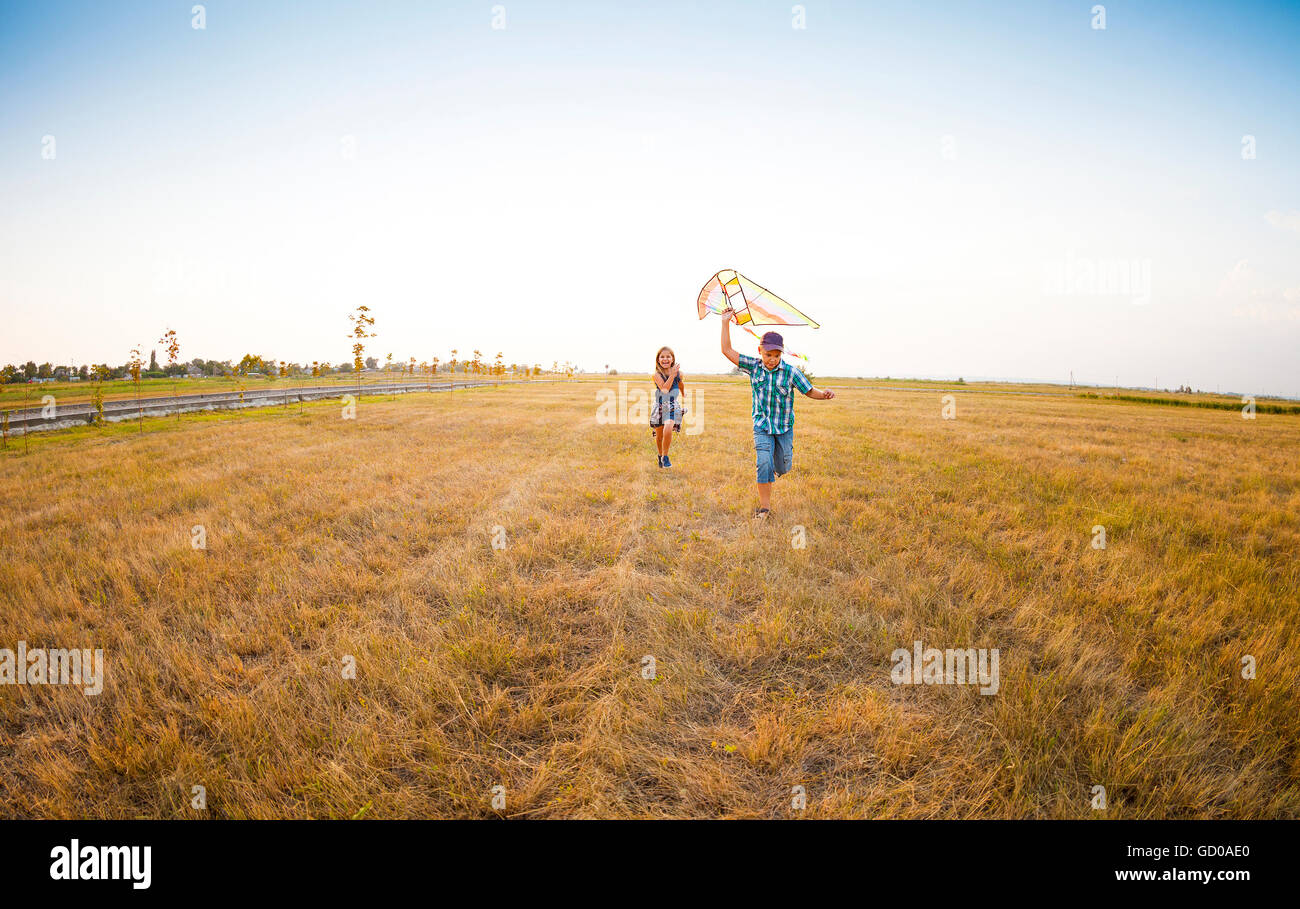 Happy little children playing with flying kite on the summer field ...