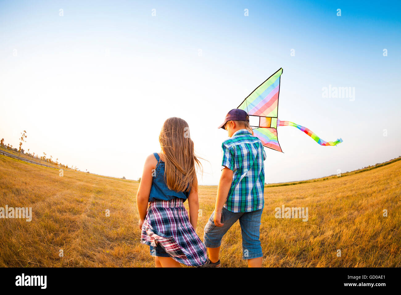 Happy little children playing with flying kite on the summer field ...