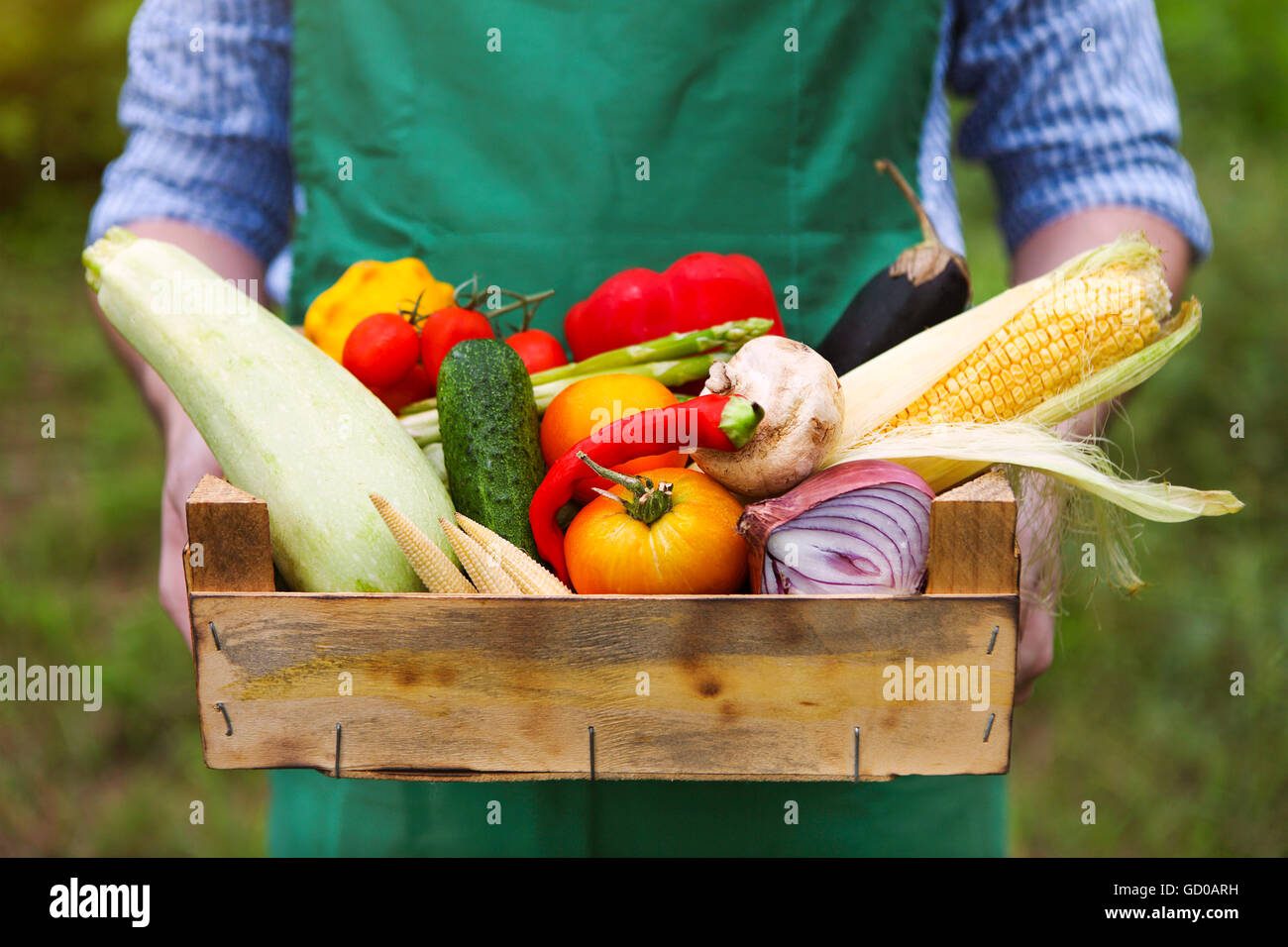 Farmer man holding wooden box filled fresh vegetables. Close up Stock ...