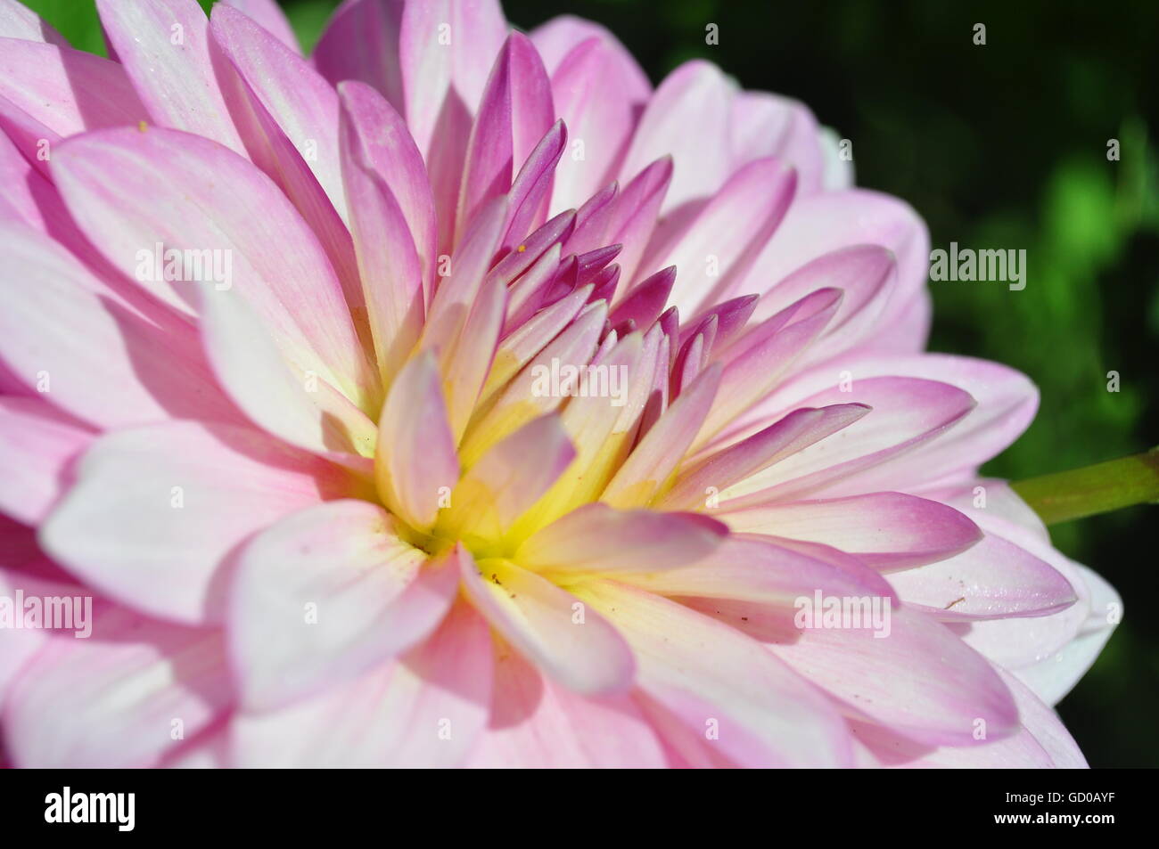 Unretouched image hi-res stock photography and images - Alamy