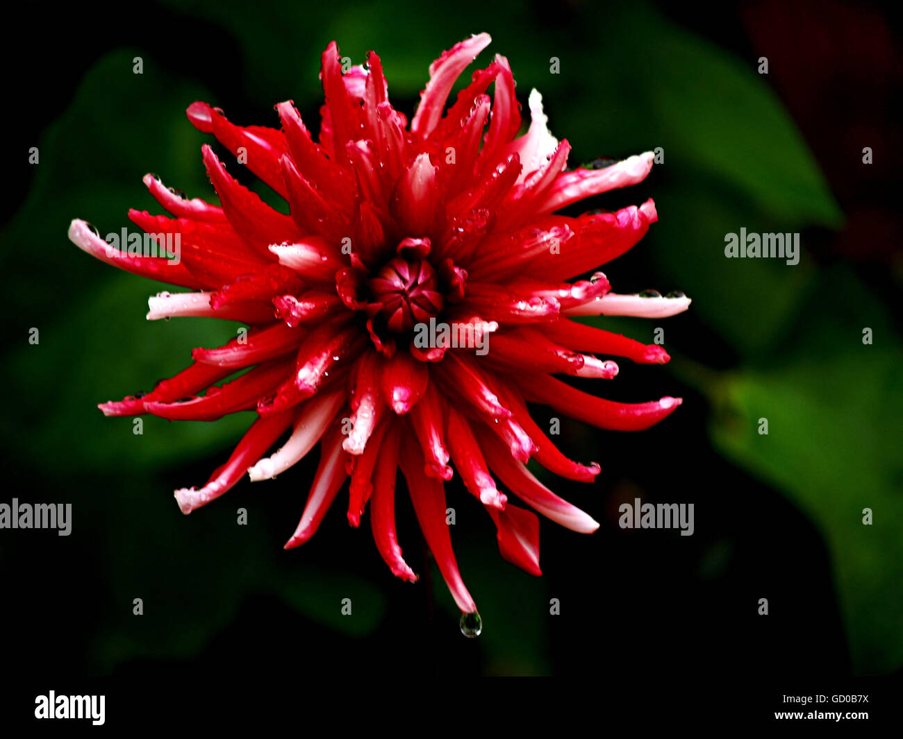 Unretouched image hi-res stock photography and images - Alamy