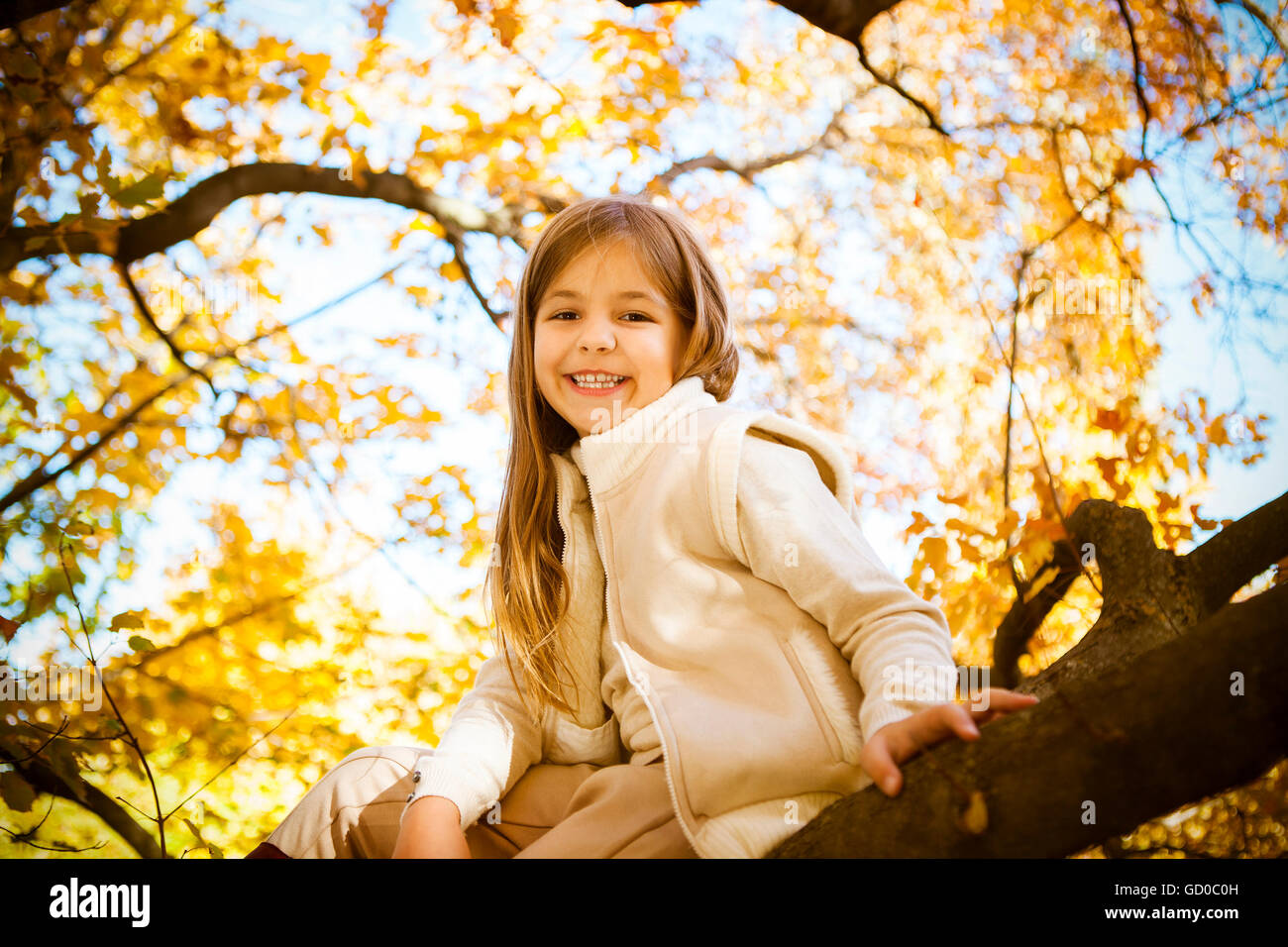 Happy little girl sitting on a tree trunk in a maple forest Stock Photo ...