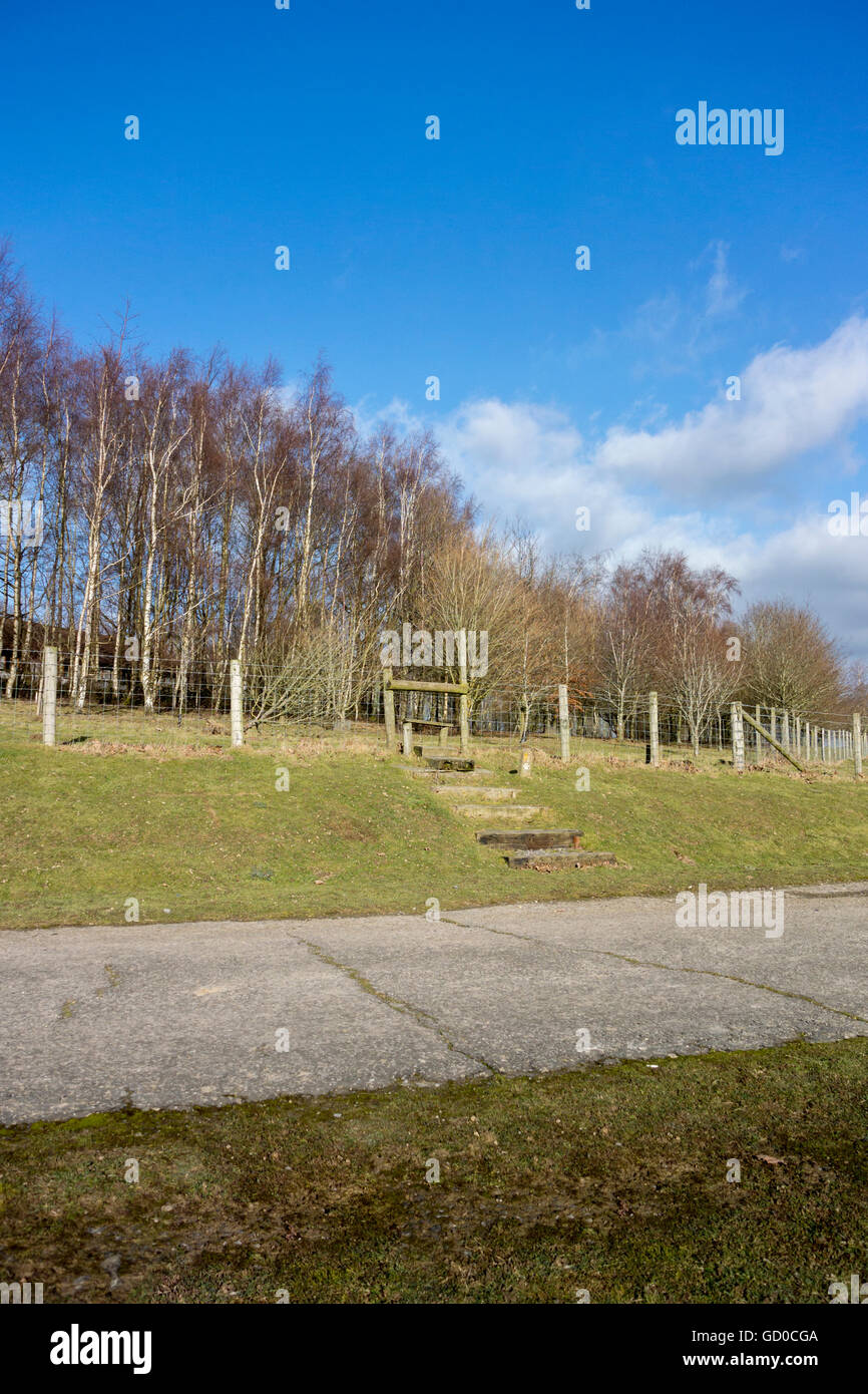 Footpath with steps hi-res stock photography and images - Alamy