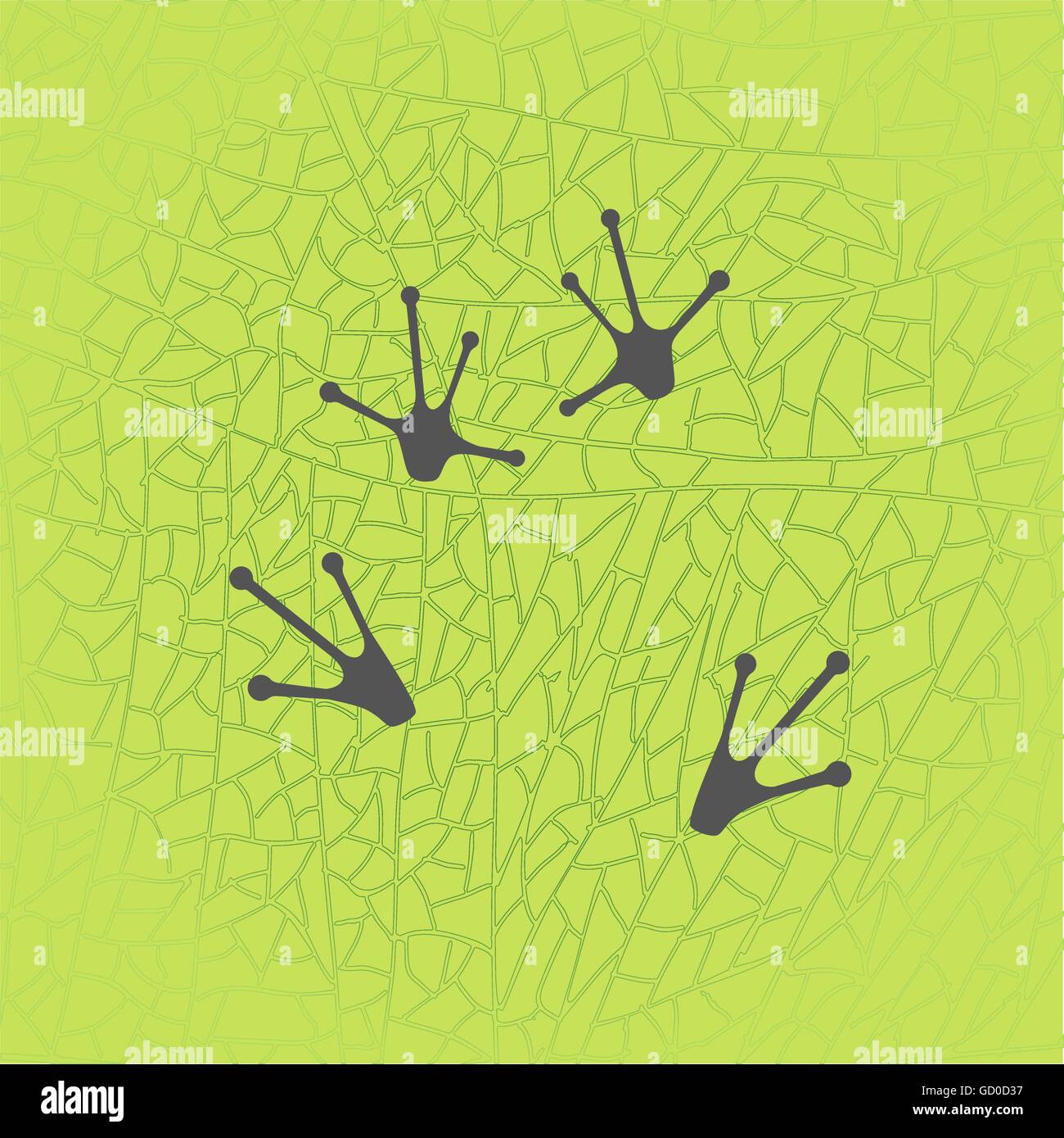 Animals footprints: frog feet. Isolated illustration vector. Frog paws ...