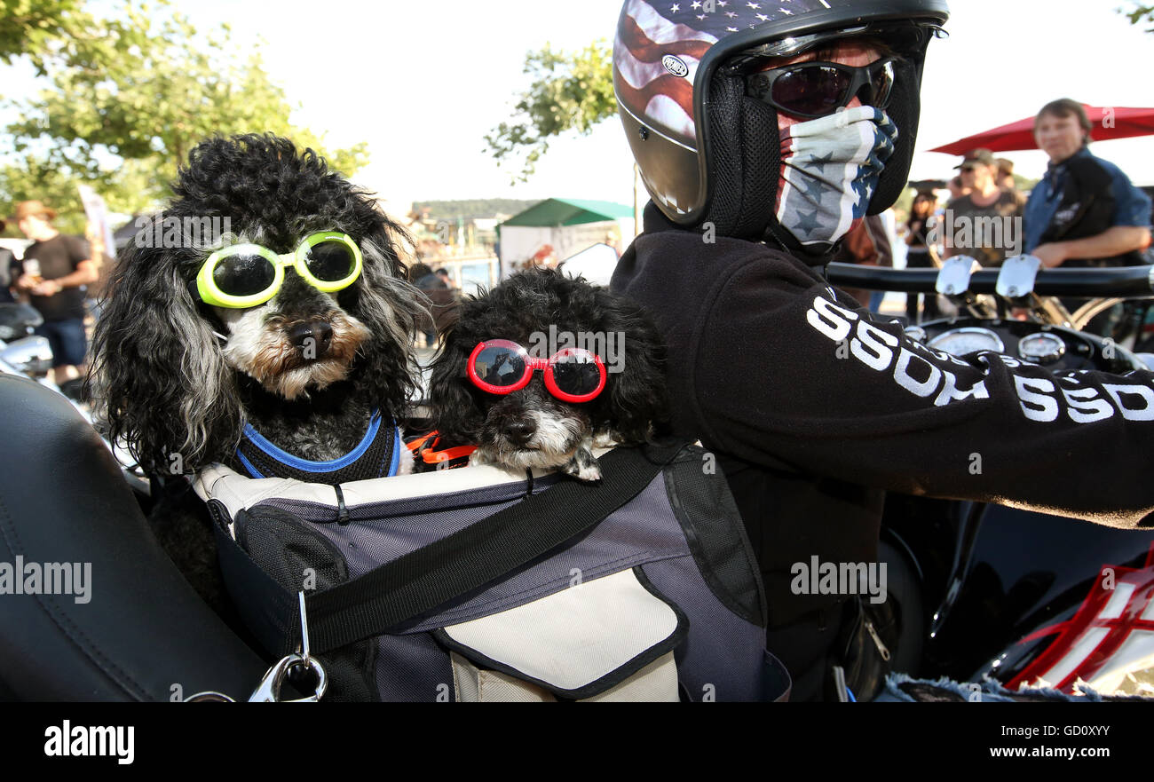 Heike Boxler rides her motorised tricycle with her two poodles Lucky ...
