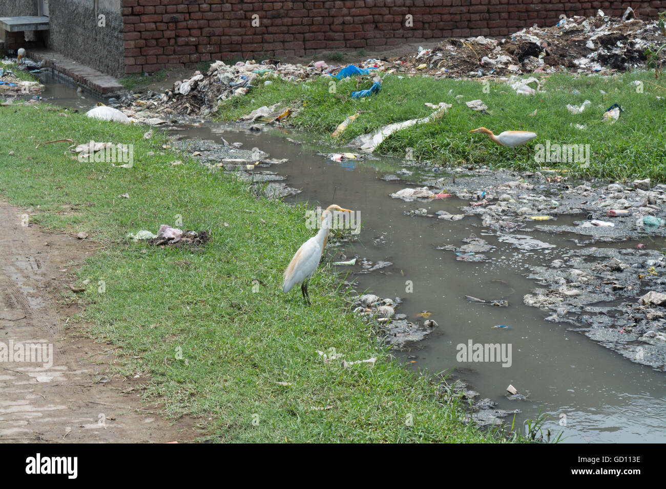 Polluted water hi-res stock photography and images - Alamy