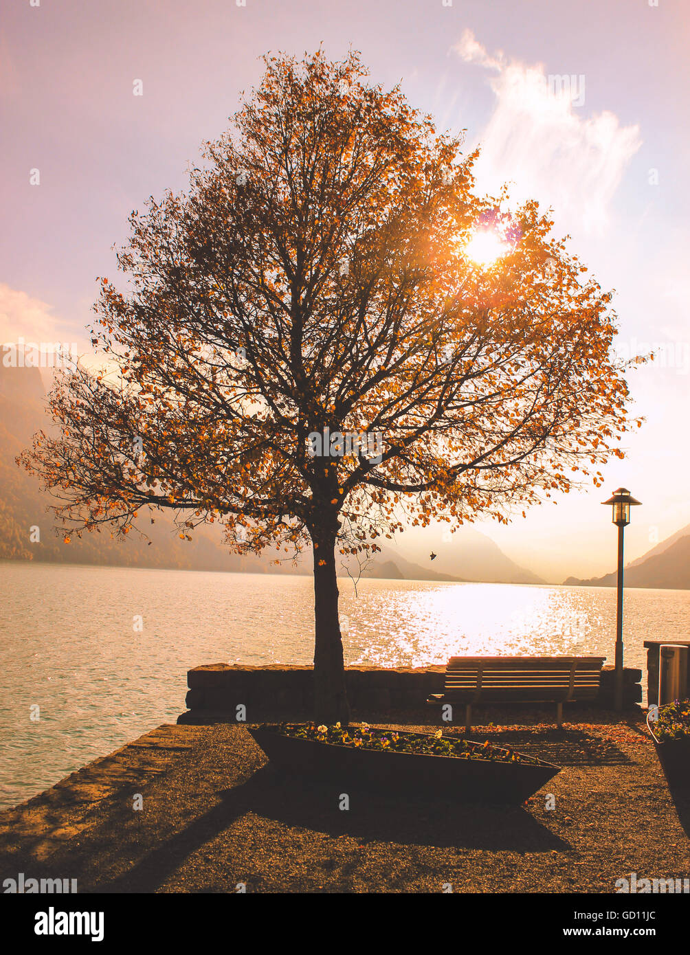 Switzerland october hi-res stock photography and images - Alamy