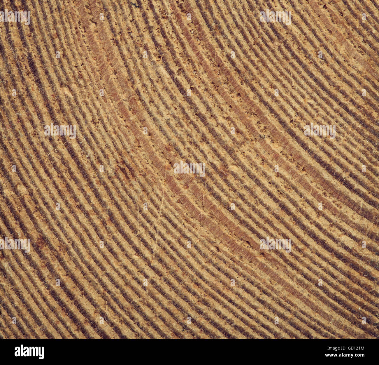 Close up wood rings hi-res stock photography and images - Alamy