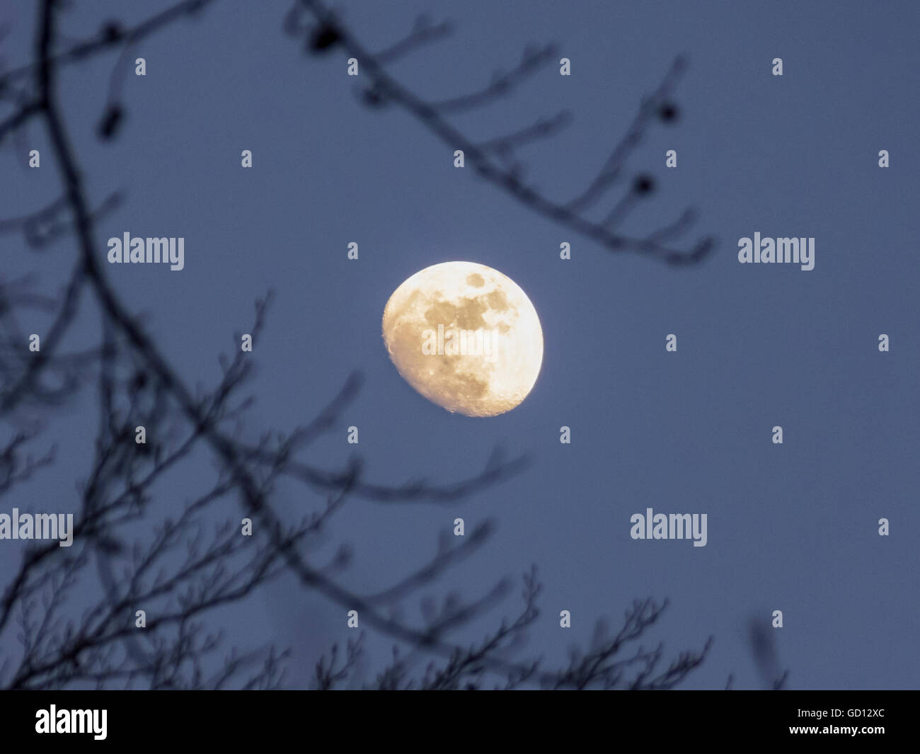 Rising moon over the horizon Stock Photo - Alamy