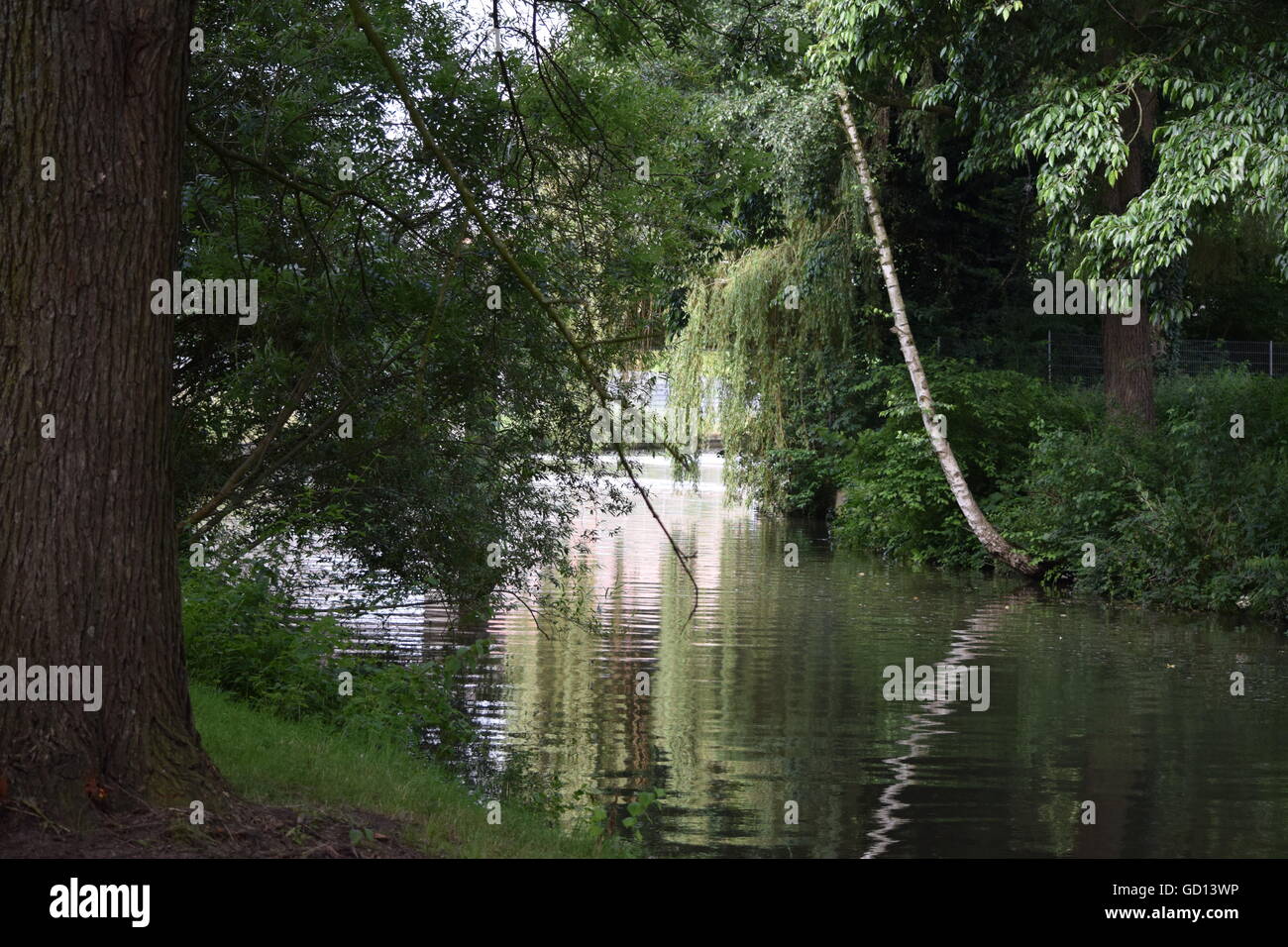Trees and water reflection hi-res stock photography and images - Alamy