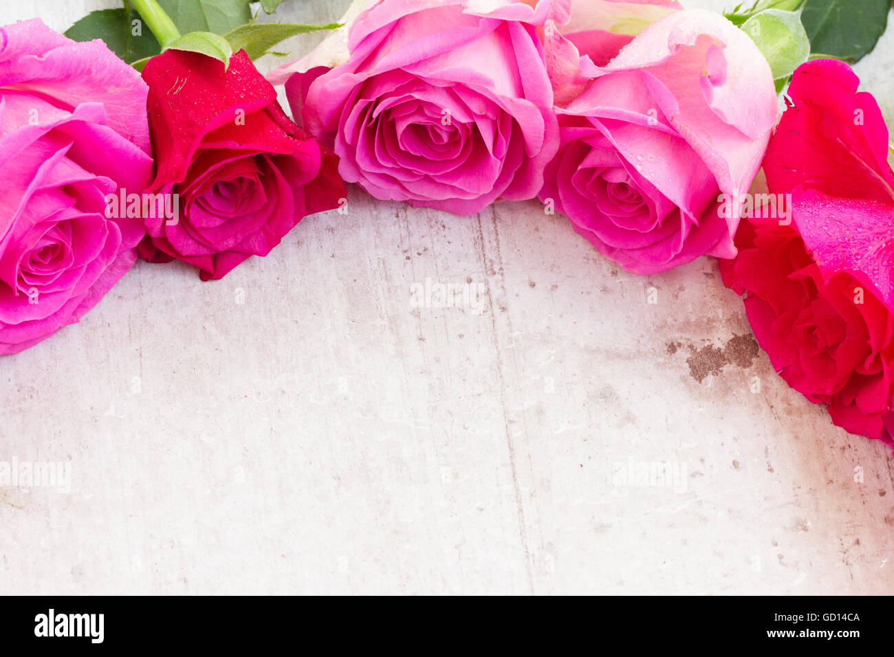 Pink fresh roses Stock Photo - Alamy