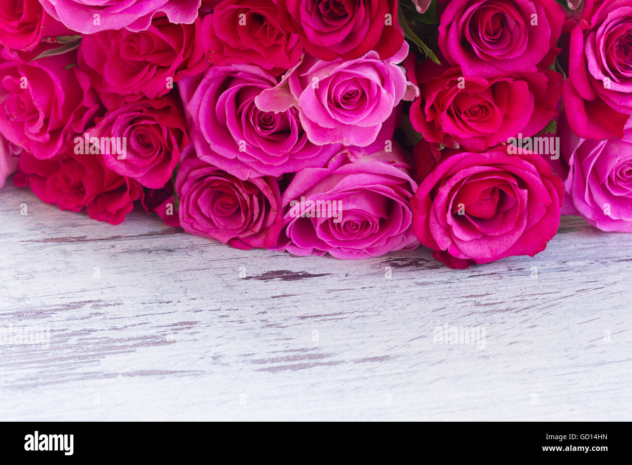 Pink fresh roses Stock Photo - Alamy